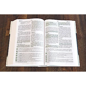 Nueva Versión Internacional Biblia del Pescador, letra grande, verde tapa dura | NVI Fisher of Men Bible, Large Print, Green, Hardcover (Spanish Edition)