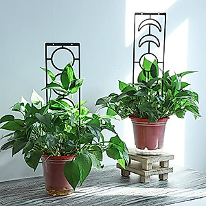 Set of 4 Small Metal Plant Trellis House Plant Pot Trellises Mini Climbing Plant Garden Trellises Indoor Potted Plants Trellis with Screws for Garden Home Flowers Vine Support, 19 x 4.8 inch