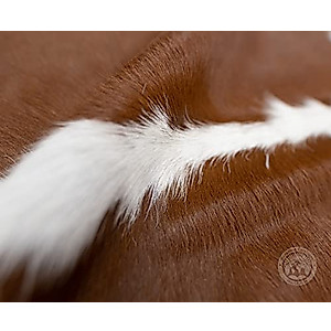 Genuine Hereford Red Brown and White Cowhide Rug Large 6 x 6-7 ft. 180 x 210 cm