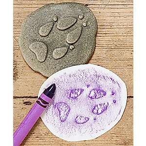 Yellow Door Let’s Investigate Woodland Footprints Double Sided Stones with Animal Tracks and Animal Picture, Create Fun Animal Games with Fossil Set, Stone, Set of 8, Toddler Toys for 3 Years & Up