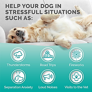 PREMIUM CARE Hemp Calming Chews for Dogs Anxiety - Made in USA, Calming Dog Treats, Dog Calming Chews - Anxiety Relief Treats, Dog Barking Deterrent, Anxiety Relief for Dogs, 60 Duck-Flavored Chews