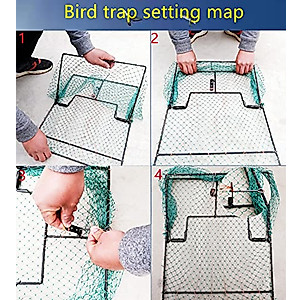 DSQSTMR Pigeon Bird Trap Trapping Hunting Quail Cage Sparrow Spring Starling Catching Net Traps for Trapping