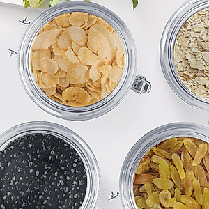 ENLOY 4-Piece Stainless Steel Airtight Food Storage Canister Set with Clear Lid, Canister Sets for Kitchen Counter for Sugar, Flour, Tea, Candy, Cookie, Spice, 28/32/38/65 oz