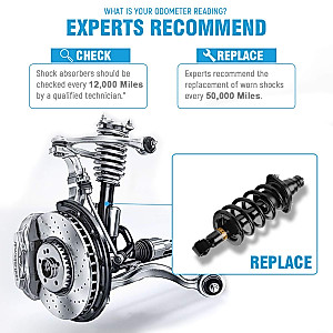 OREDY Rear Pair Struts Coil Spring Compatible with 2002 2003 2004 2005 2006 Honda CR-V - 171380