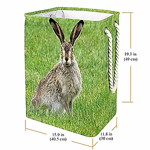 DEYYA Waterproof Laundry Baskets Tall Sturdy Foldable Wild Rabbit Bunny Hare Nature Grassland Print Hamper for Adult Kids Teen Boys Girls in Bedrooms Bathroom