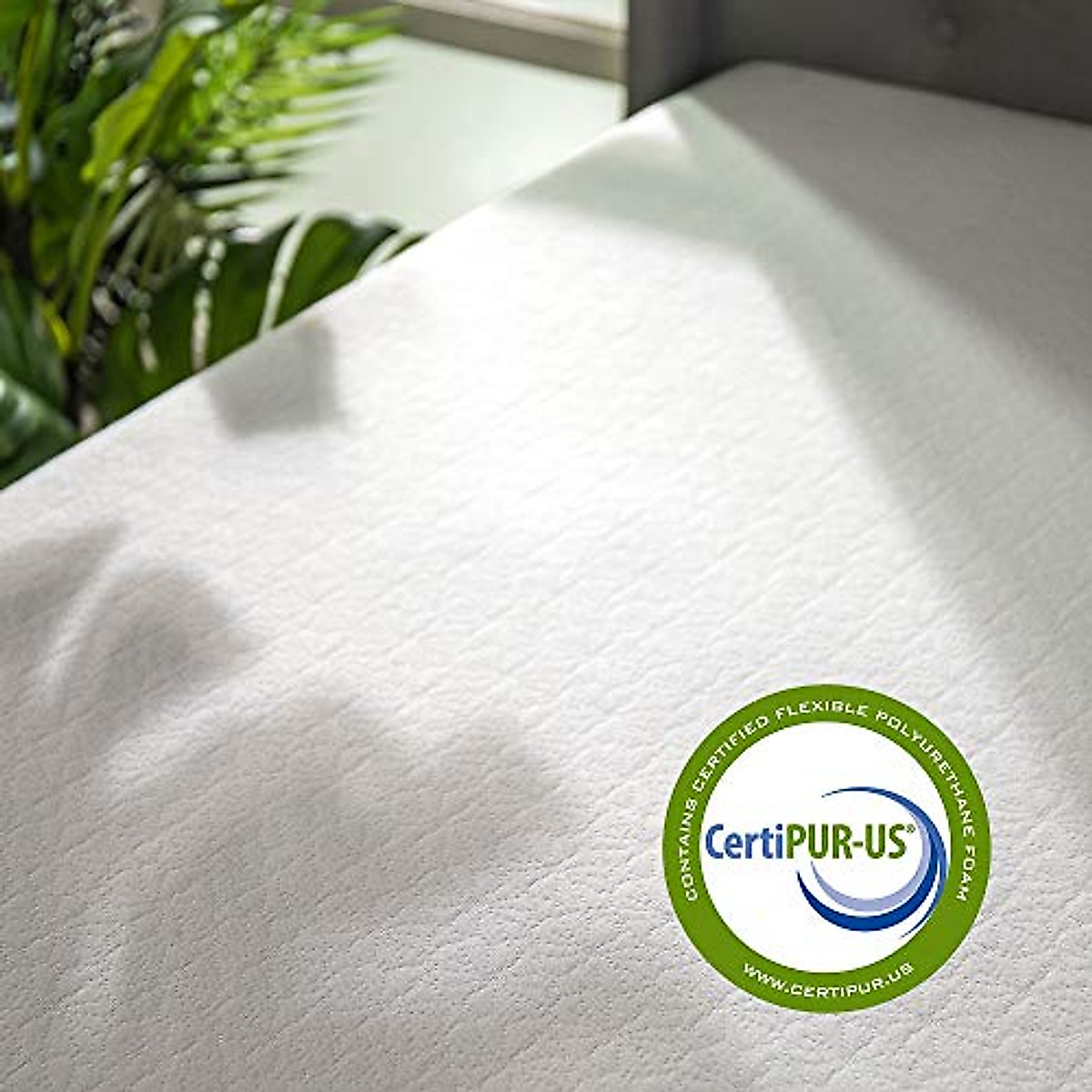 ZINUS Lottie Upholstered Platform Bed Frame, Grey, Twin & 10 Inch Green Tea Memory Foam Mattress / CertiPUR-US Certified / Bed-in-a-Box / Pressure Relieving, Twin