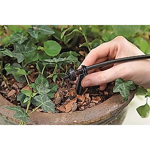 Raindrip R560DP Automatic Drip Irrigation Watering Kit with Timer for Containers and Hanging Baskets, Waters up to 20 Plants, Includes Timer with Customizable Settings and 20 PC Drippers,Black