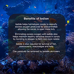 Brightwell Aquatics Iodion - Concentrated Iodide Supplement for Marine Fish Aquariums, 2-L, Model Number: IOD2L