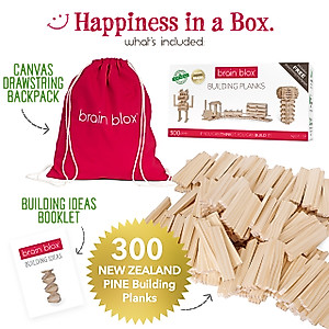 Brain Blox Natural Wooden Blocks for Kids Ages 4-8 - Montessori Blocks for Hands-on Learning - STEM and Architecture for Kids (300 Building Blocks)