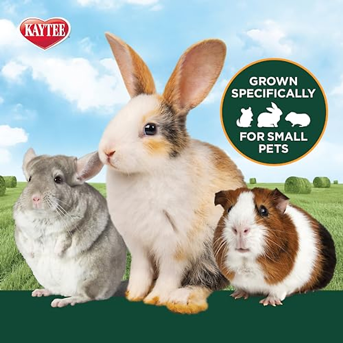 Kaytee 1st Cut Hearty and Crunchy Timothy Hay for Pet Guinea Pigs, Rabbits & Other Small Animals, 6.5 Pound