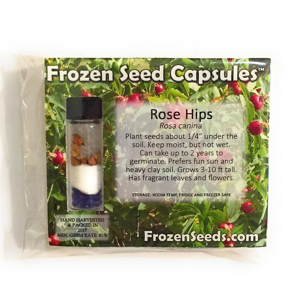Frozen Seed Capsules - Rose Hip (Rosa canina) - Grow Now or Store for Future Planting - Capsule of 10 Seeds