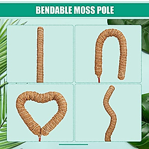ADEBOLA 2 PCS 26 Inches Tall Moss Poles, Bendable Plant Poles for Climbing Plants with Two Garden Jute Rope for Monstera, Sphagnum, Pothos and Other Indoor Plants