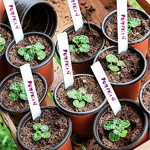 TDHDIKE 4" Small Plastic Plant Nursery Pot/Pots (100pcs) Seedlings Flower Plant Container (Red) Seed Starting Pots Indoor Outdoor, Come with 100pcs Plant Labels