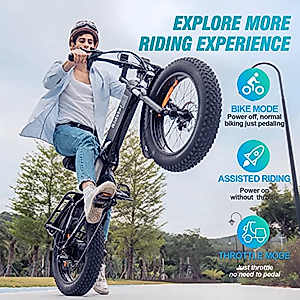 Ridstar Electric Bike for Adults, 1000W 48V 15Ah 30MPH 50 Miles E Bike, 20" x 4.0 Fat Tire Mountain Bike Dual Shock Absorber 7-Speed Foldable Bicycle