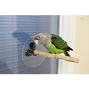 Window NU Perch for Small to Medium Parrots