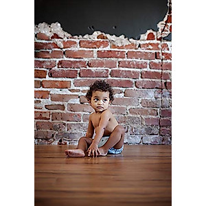 Kanga Care Rumparooz One Size Reusable Cloth Diaper Cover Snap | Platinum 6-35 lbs