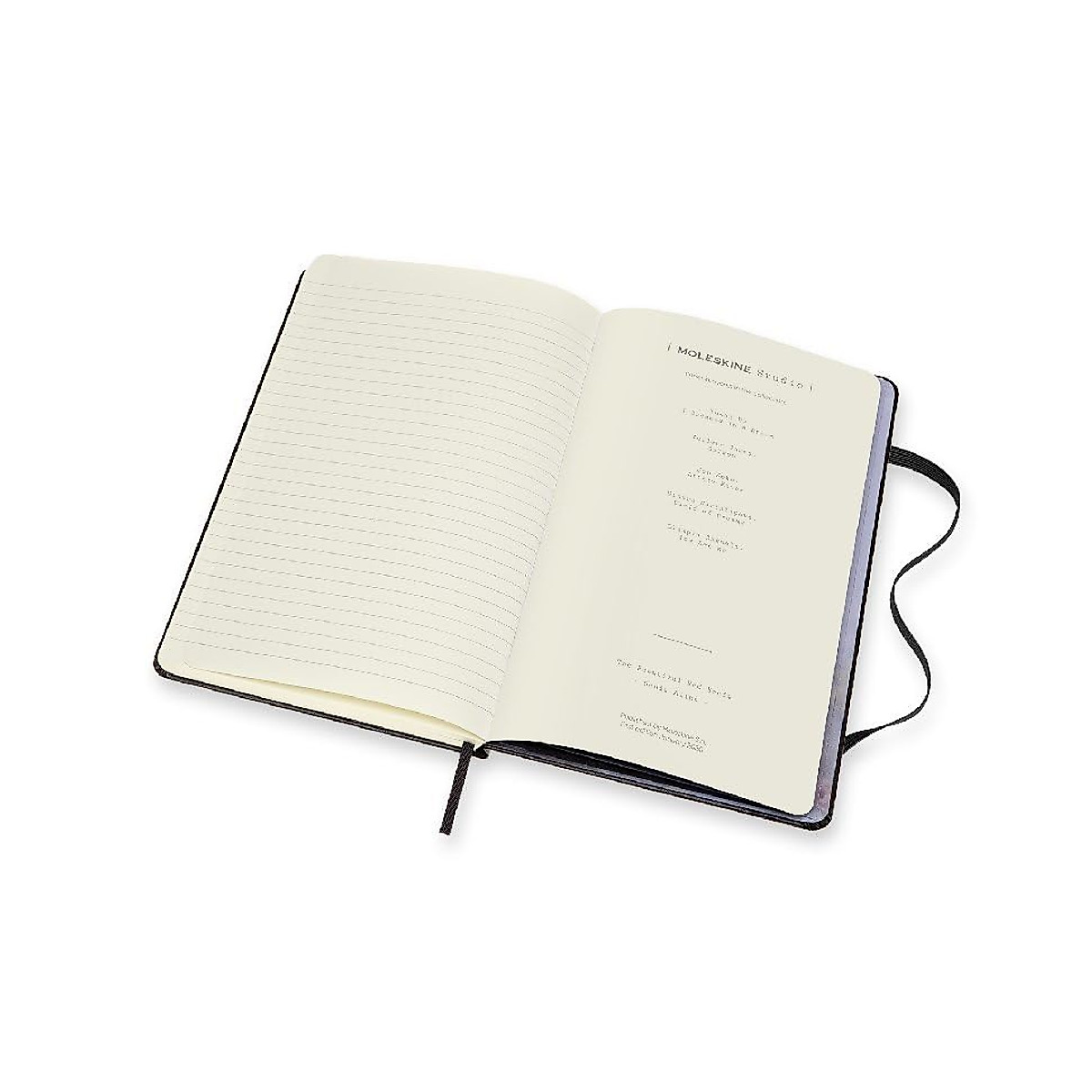 Moleskine Limited Edition Studio Collection Notebook, Hard Cover, Large (5" x 8.25"), Ruled/Lined, Sonia Alins, 240 Pages