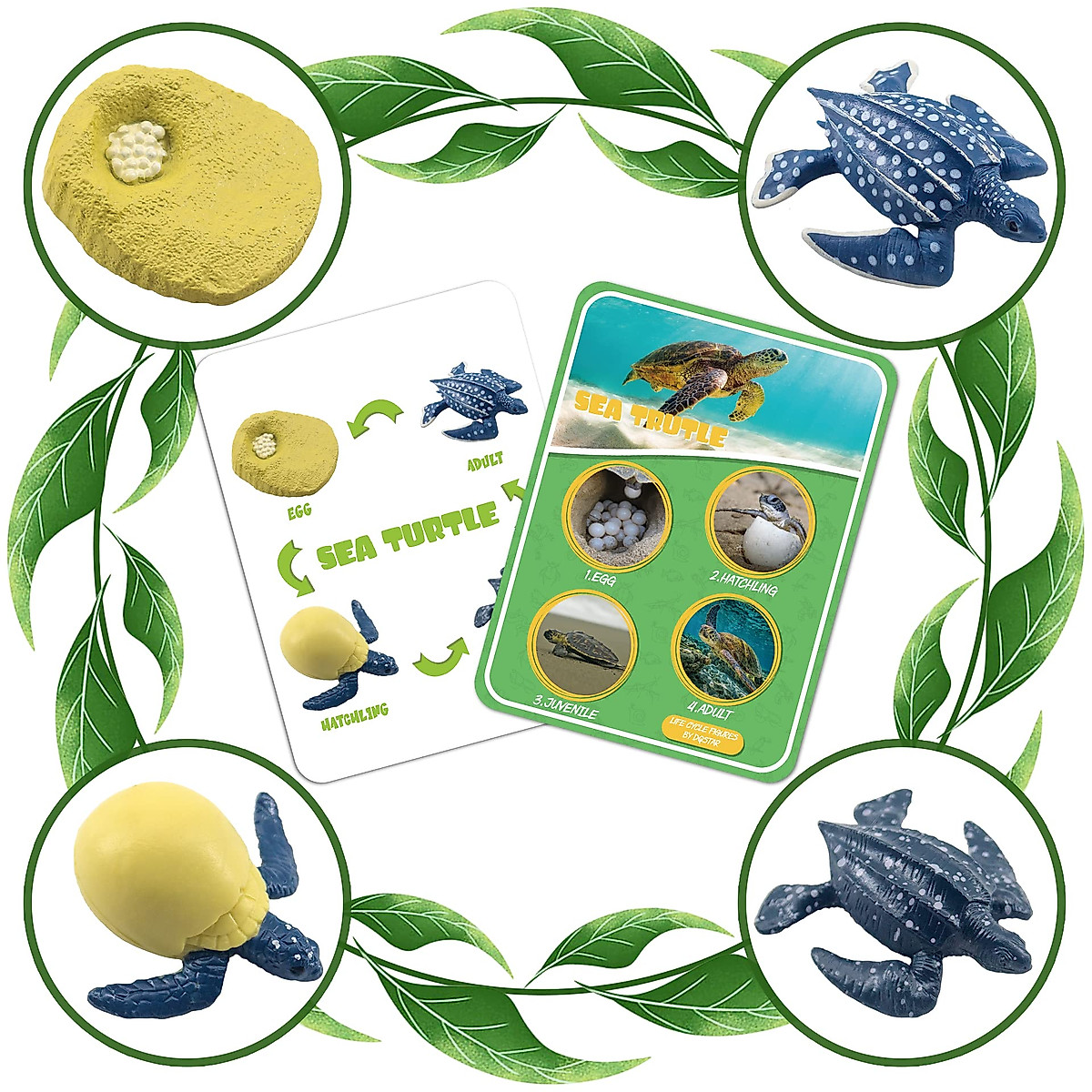 Life Cycle Figures of Frog, Chicken, Sea Turtle, Butterfly, Wasp, Locust, Science Toys kit, Animal Figures for Kids Age 3-12