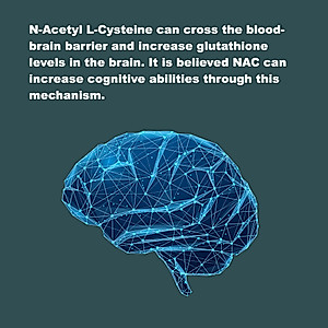 LifeLink NAC (N-Acetyl L-Cysteine) | 600 mg x 120 Capsules | Antioxidant, Anti-Aging, Immunity | Gluten Free & Non-GMO | Made in The USA