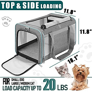 GAPZER Pet Carrier for Large Cats 20 lbs+ / Soft Sided Small Dog Travel Carrier Top Load/Collapsible Carrier Bag for Big Cat / 2 Kittens Sturdy Transport Carrier Long Trips/Medium Cats 15 pounds