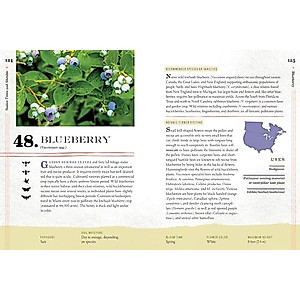 100 Plants to Feed the Bees: Provide a Healthy Habitat to Help Pollinators Thrive