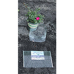 The Original RootGuardTM Heavy Duty Gopher Wire Baskets (12 3-Gallon Baskets)