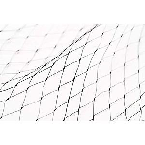 PetiDream Bird Netting -Stops Hawks,Birds from Plants ,Fruit Trees and Vegetables - Perfect as Garden Netting and Protective Net in 13ftx 33ft,Black