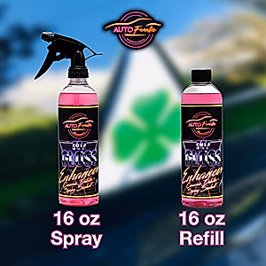 AUTO FANATIC 007 Car Gloss Enhancer Ceramic - Water Beading Hydrophobic Spray Infused with SiO2 For Maximum Gloss & Shine - Quick Detailer Spray For Ceramic Car Coating & Professional Car Detailing That Repels Dirt & Road Grime (16 oz Spray)