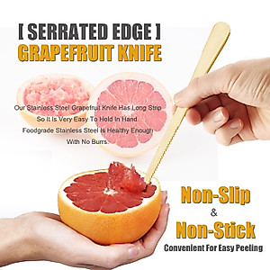 Grapefruit Spoons Serrated Edge Grapefruit Knife Stainless Steel Grapefruit Utensil Tool Dessert Spoons for Citrus Lemon Kiwi Salads Melon Lime Pitaya Apple Fruit Puree (Gold)