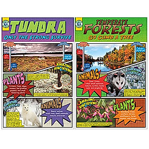 NORTH STAR TEACHER RESOURCE Biomes Bulletin Board Set