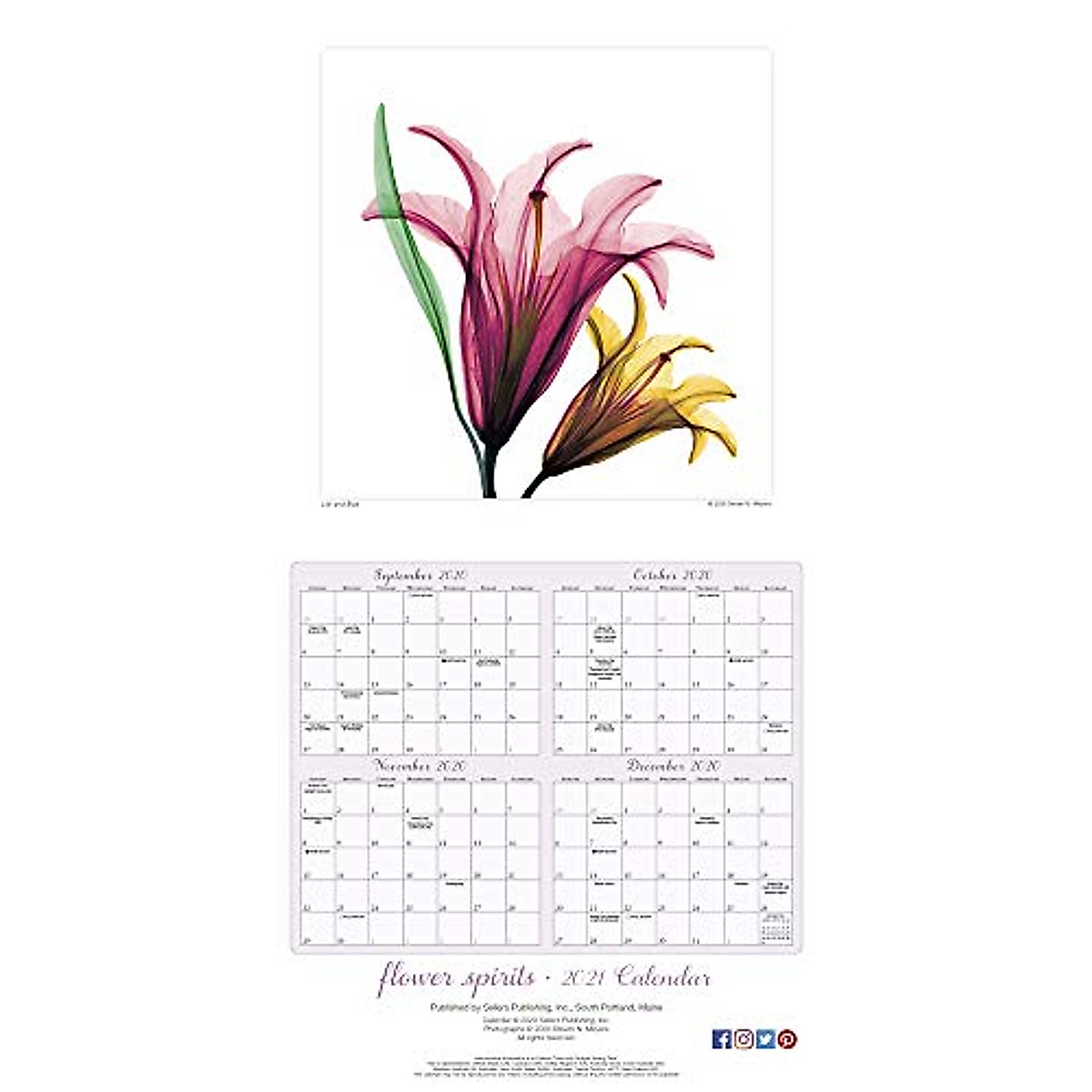 2021 Flower Spirits Radiographs of Nature by Steven N. Meyers 16-Month Wall Calendar