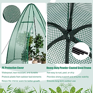 Safstar Portable Mini Greenhouse, Garden Greenhouse W/ All-Weather PE Cover, Roll-up Door, Mesh Window, Outdoor Plant Greenhouse for Cold & Frost Protection, Garden Tent for Pot Plant, 63" x 63" x 72"