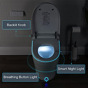 Casta Diva Smart Toilet with Heated Seat, Warm Water Bidet, Off-seat Auto Flushing, Foot Kick Flush, 1.28GPF White Smart Toilets with Remote for Bathrooms (CD-Y070)
