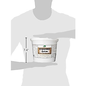 Nature's Farmacy Equine DFM (Direct Fed Microbial) Live Probiotics, Enzymes 50 Billion CFU Ounce