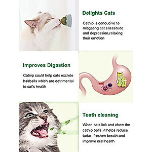 Cayse Cat Toys, 4 Natural Silvervine Catnip Balls, Edible Catnip Wall Toys, Safe Healthy Kitty Toys for Cats Lick, Kitten Chew Toys, Teeth Cleaning Dental Cat Ball Toy, Catnip Wall Treats