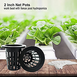 Tmtamye 100 Pack 2 inch Net Pots Hydroponics Supplies Cups, Round Wide Lip Design Orchids Aquaponics Garden Slotted Mesh Heavy Duty Net Pot with 20Pcs Plant Labels