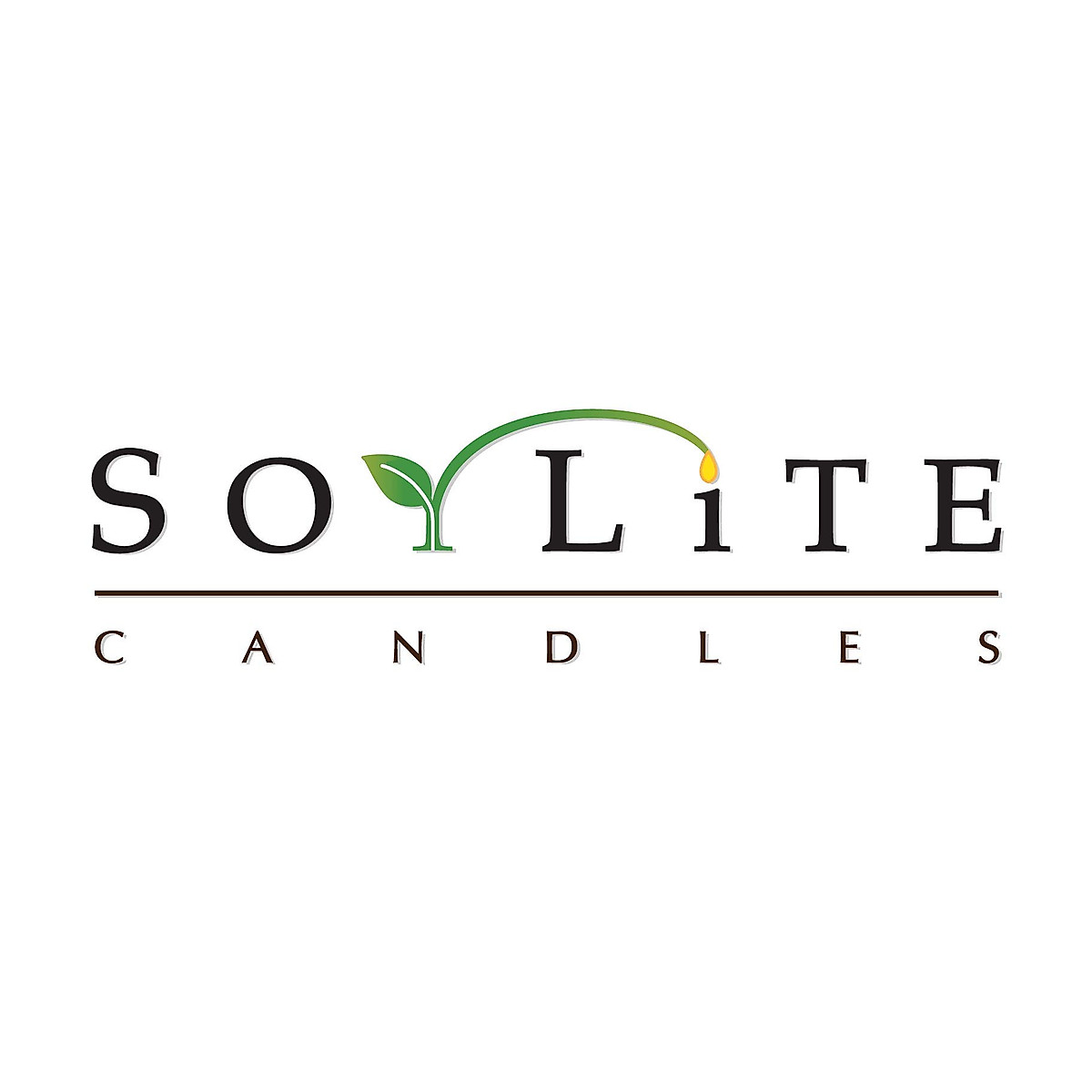 Wax Melter for Candle Making, Holds Approximately 7 Qts Or 14 Lbs of Melted Wax, Wax Melter Has Easy Pour Valve, by SOYLITE CANDLES