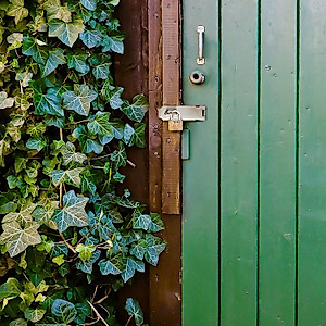 Padlock Hasp 4 Inch Door Clasp Hasp Lock Latch, Stainless Steel Door Bolt Latches for Furniture, Cabinet, Drawer, Cupboard and Closet