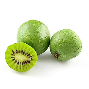 Hardy Kiwi Seeds Actinidia Arguta Seeds Perennial GMO Free Fragrant Showy Fruit & Berries Climber Trellises Fences Pergolas Outdoor 10Pcs Fruit Seeds by YEGAOL Garden