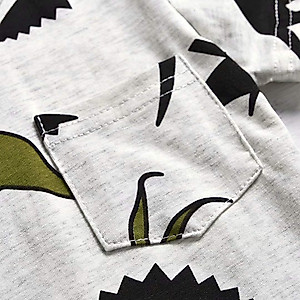 2T Boys Clothes Toddler Boys Summer Outfits Dinosaur T-Shirt & Shorts Set 2 Piece，Green Dino 2-3T/90cm