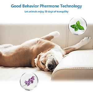 LAKETANEY Calming Collar for Dogs,Dog Pheromones Collar,Dog and Puppy Stress Reliever Relaxing Comfortable,Effective Improvement Barking, or Separation Anxiety (3PC)