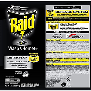Raid Wasp and Hornet Killer (17.5 Ounce (Pack of 1))