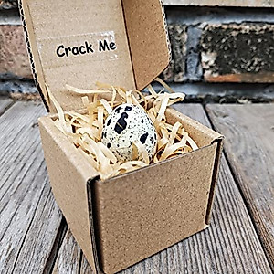 Quail Egg Pregnancy Announcement,Baby Announcement,Grandparents Pregnancy Reveal Gift