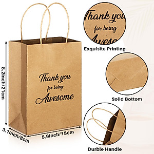 Qilery 18 Pcs Kraft Gift Bags Paper Bags with Handles for Employee Coworker Colleague Volunteer Teacher Nurse, Thank You for Being Awesome Gift Bags, 5.9 x 3.1 x 8.3 Inches