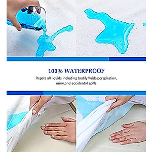 Queen Mattress Protector Noiseless,Mattressprotector Queen,Waterproof Mattress Cover Soft Breathable Cotton Terry for Pets Kids Adults 60" x 80"