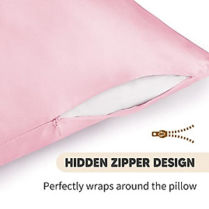 OLESILK 100% Mulberry Silk Toddler Pillowcase for Hair and Skin, Both Sides 19 Momme Pure Natural Silk Travel Pillow Cases with Hidden Zipper, 13"x 18", Pink