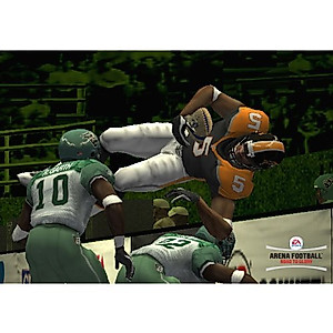 Arena Football: Road to Glory (Renewed)