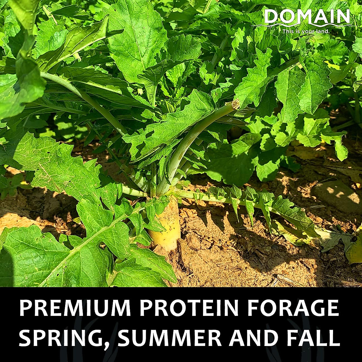 Domain Outdoor Illicit Food Plot Seeds, Fast Growing Variety of Deer Radish, Perfect Seed for Spring, Summer or Fall, Leafy Greens, Sugar-Filled Tap Root, Up to 8 Tons of Forage Per Acre, 1/2 Acre