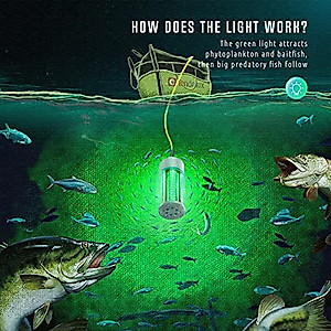 Tendelux Underwater Fishing Light, 110V Super Bright Green LED Submersible Light Attractants for Docks, Boats or Kayaks, IP68 Rated for Fresh & Salt Water (30ft Cable)