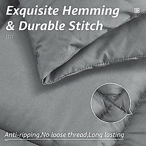 HYLEORY All Season Queen Size Bed Comforter - Cooling Down Alternative Quilted Duvet Insert with Corner Tabs - Winter Warm - Machine Washable - Light Grey